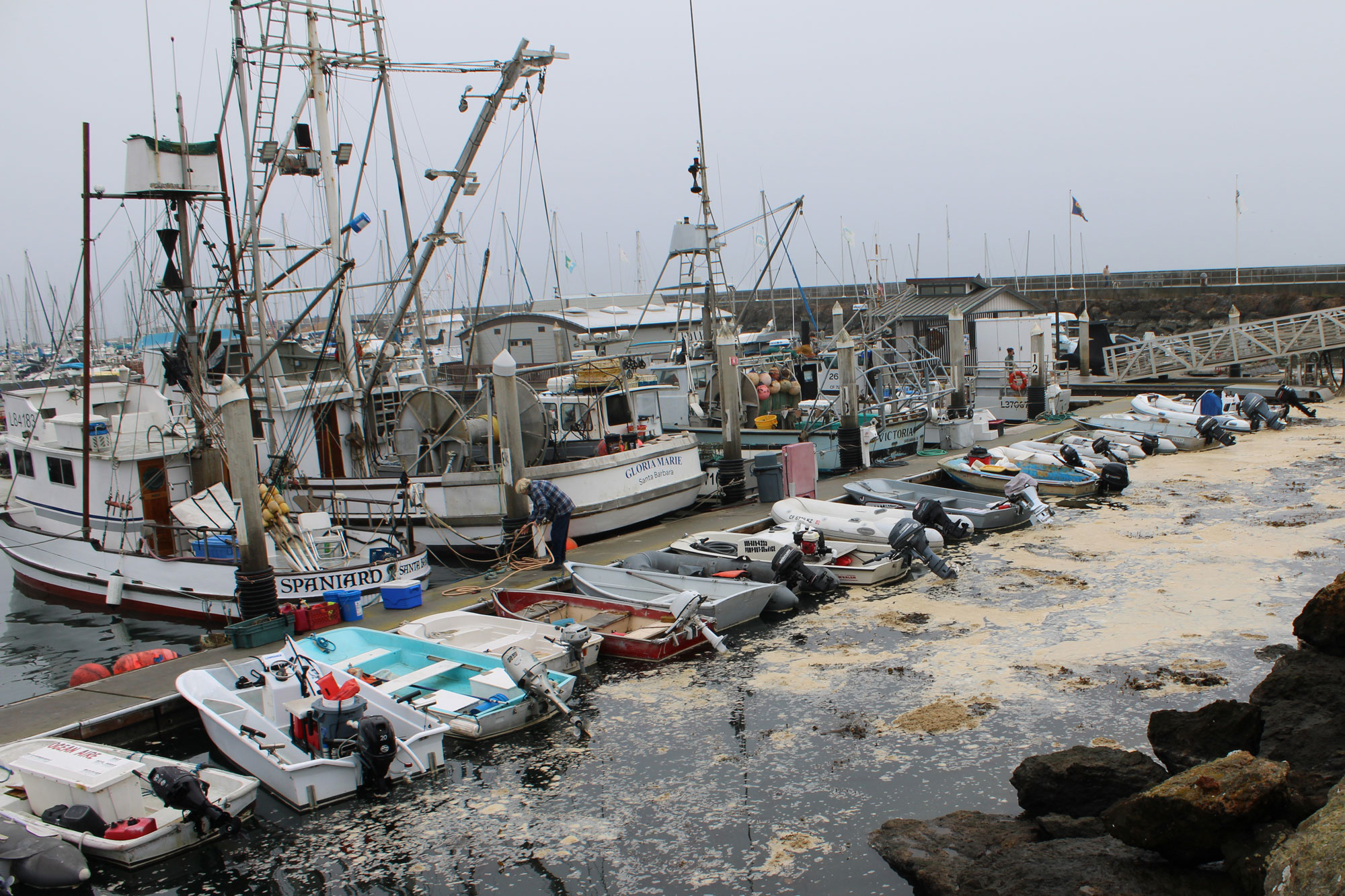 Officials Remain Wary as High Tides, Heavy Surf Continue Along the ...