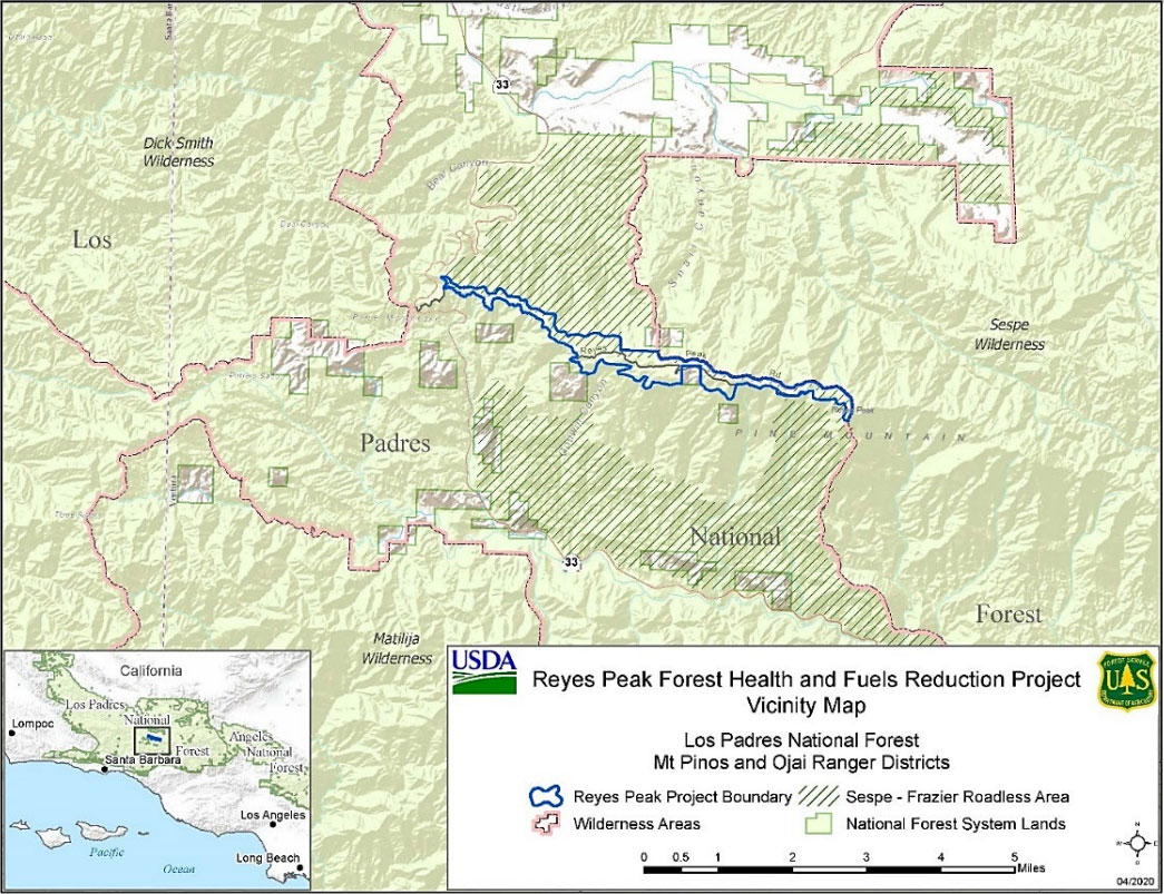 Controversial Logging Project in Los Padres Forest Gets Court Approval ...