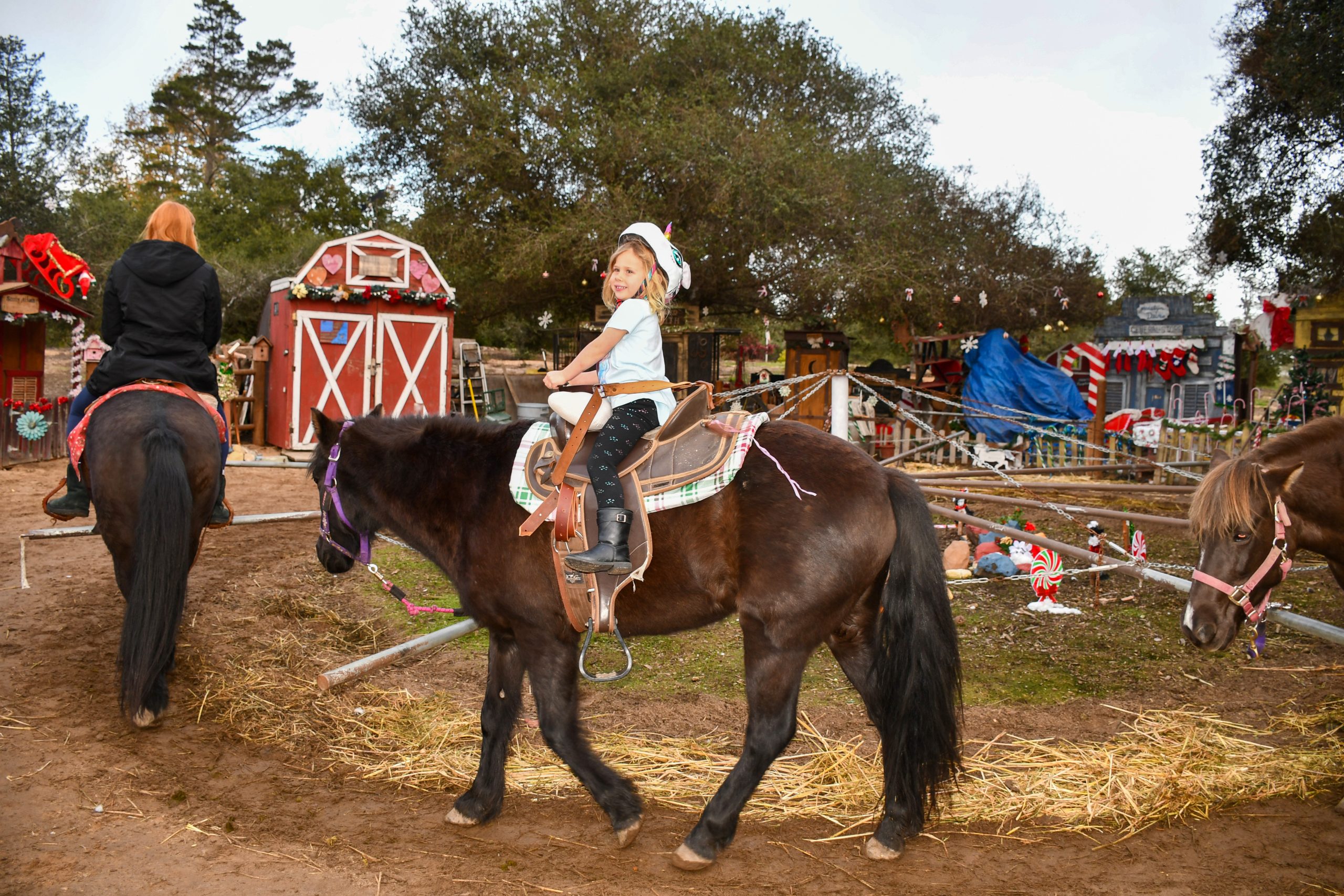 Waller Park Pony Rides Provide Decades of Memories | Local News | Noozhawk
