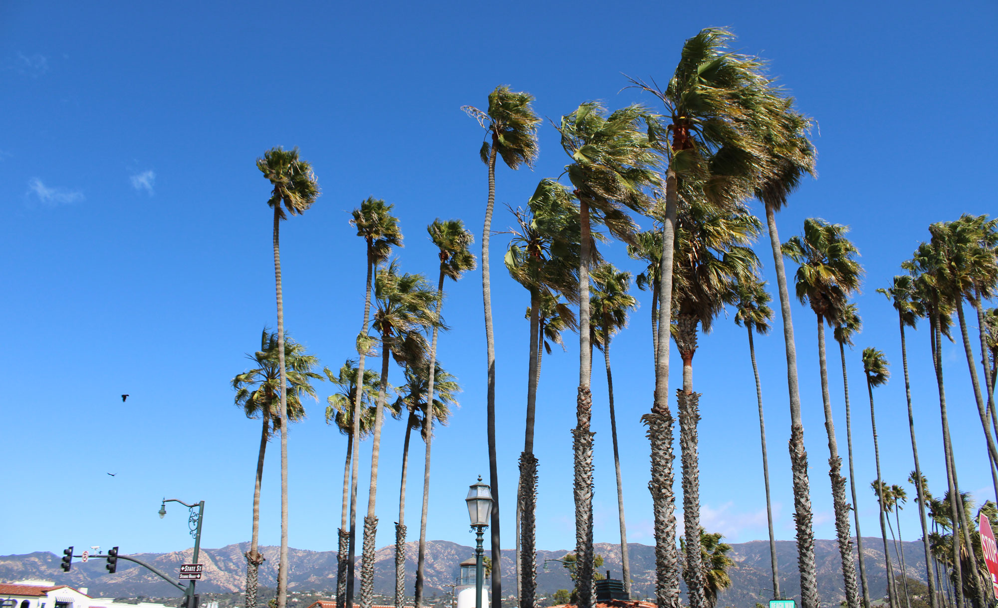 Santa Barbara Will See Strong Winds, Rain Throughout the Week | Local ...