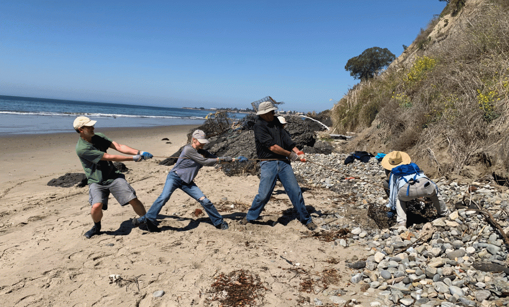 Volunteers and Anglers Clear Lobster Traps from Local Beaches | Local ...