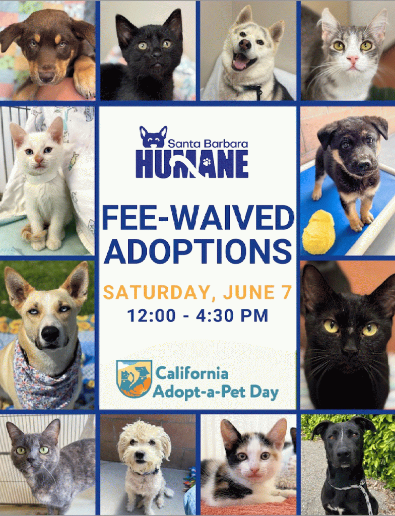 Santa Barbara Humane Unleashes Adoptions With No Fees on June 7 | Four ...