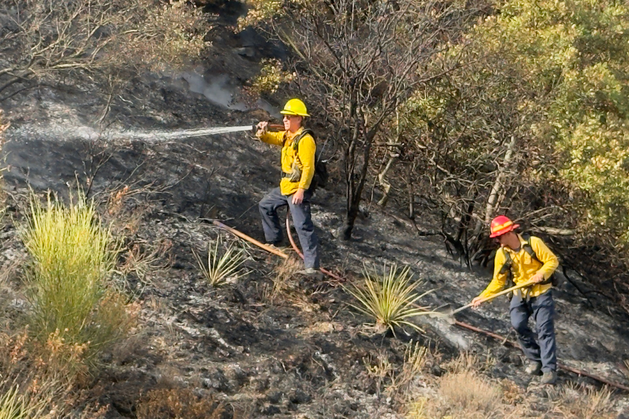 Firefighters Make Quick Work of Vegetation Fires Along Highway 154 ...