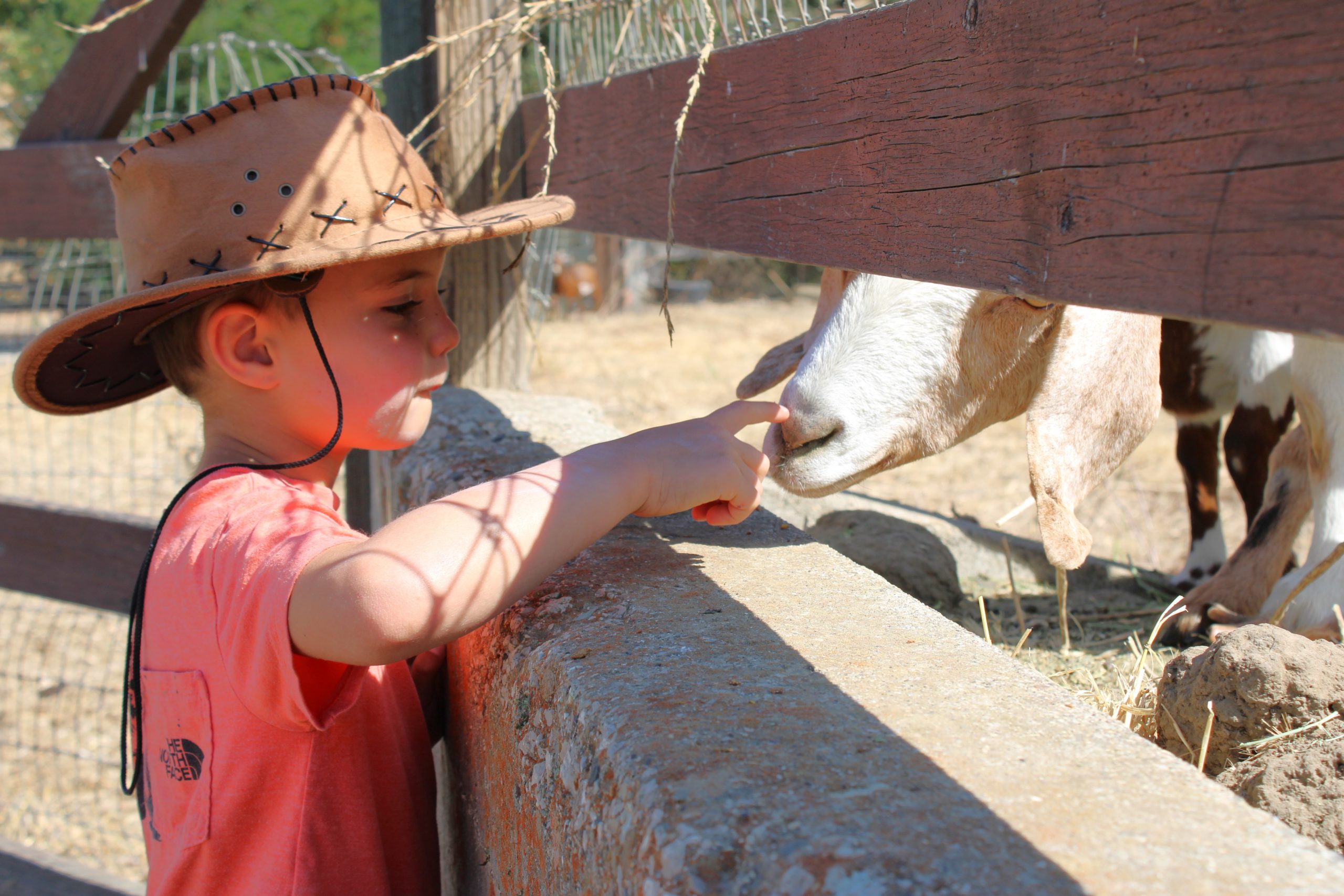 Farm Day Expands Into Carpinteria for Seventh Annual Event Sept. 6 ...