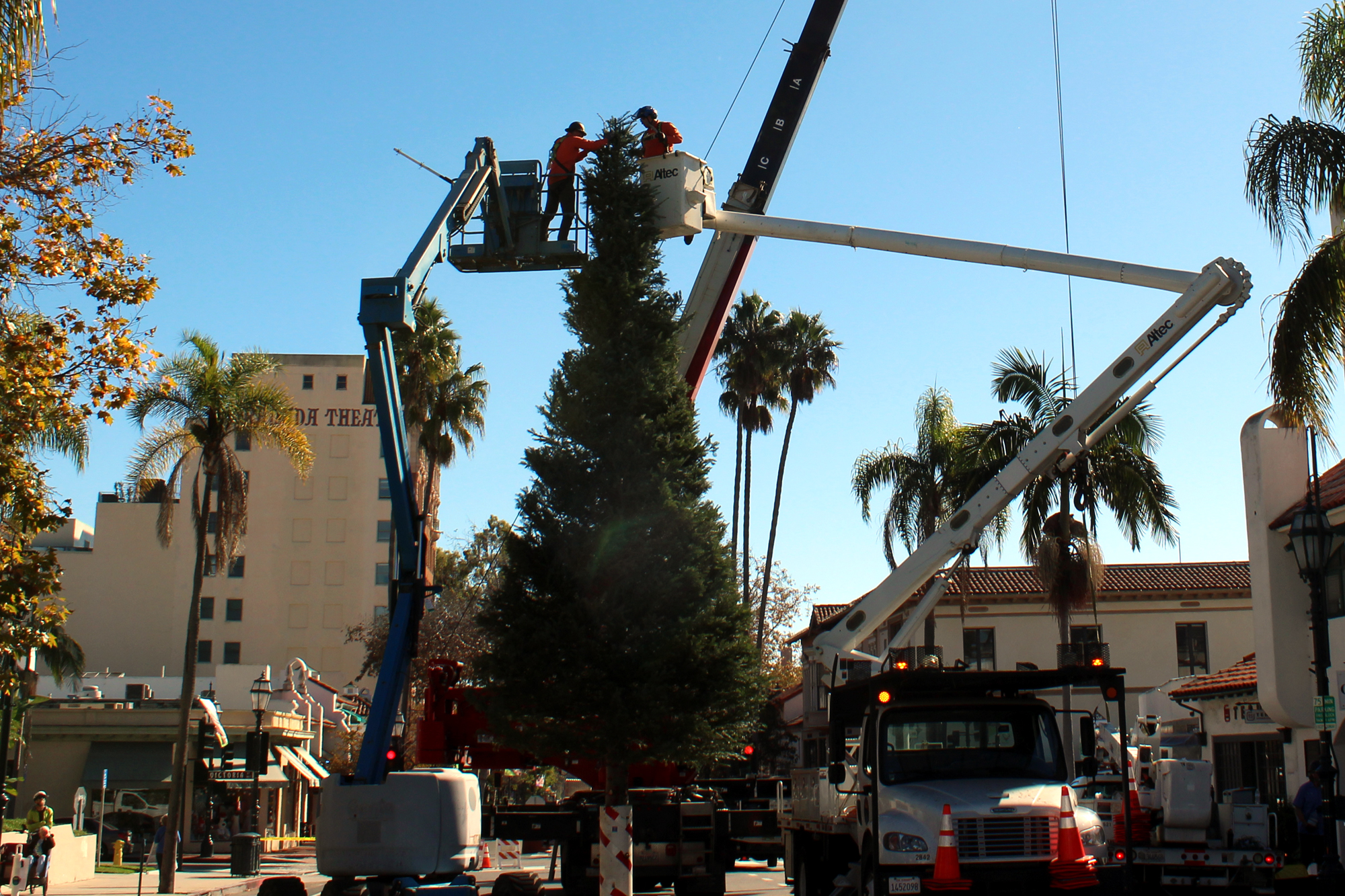 Giant Christmas Tree Brings Festive Spirit to Santa Barbara | Local ...