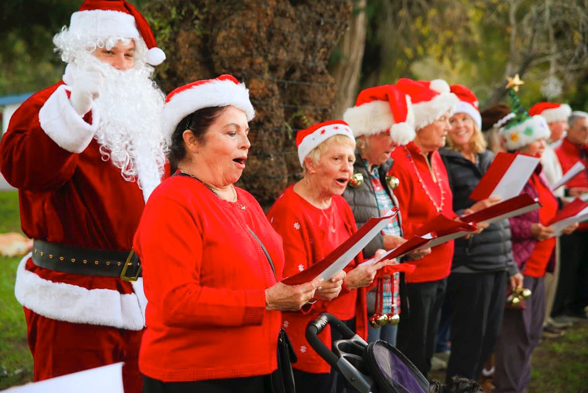 Hillside Light Show Brings Joy and Sparkle to the Holidays | Homes ...