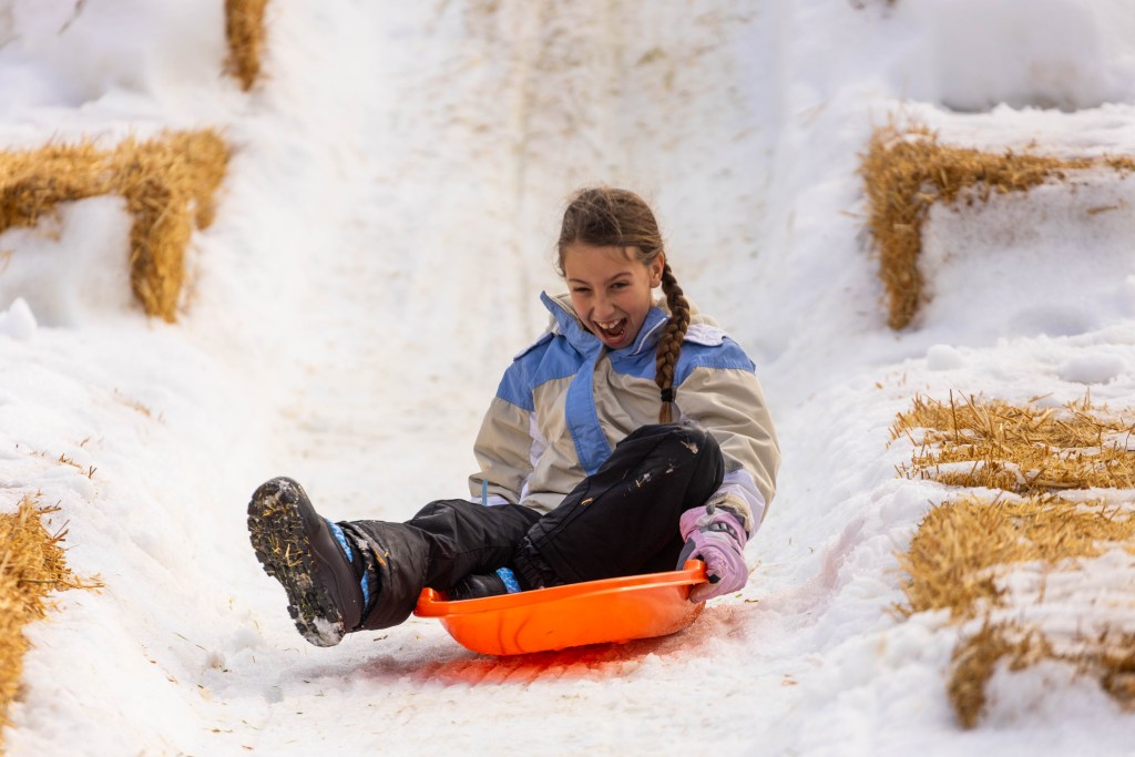 Santa Barbara Zoo Invites Cool Cats to Snow Leopard Festival | News ...