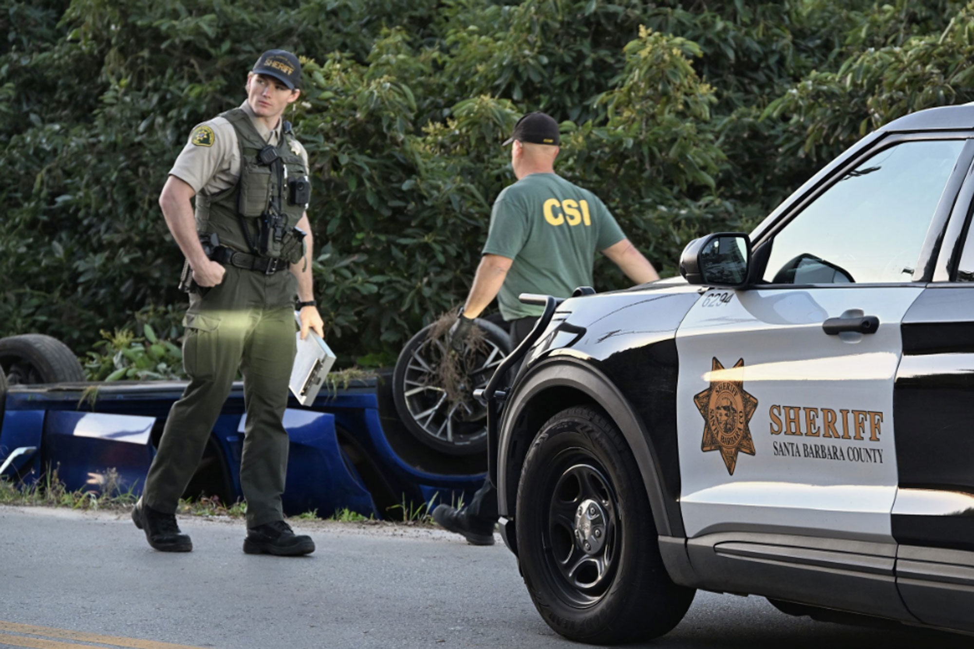 Deputies Arrest 3 in Connection with Carpinteria Valley Cannabis Farm ...
