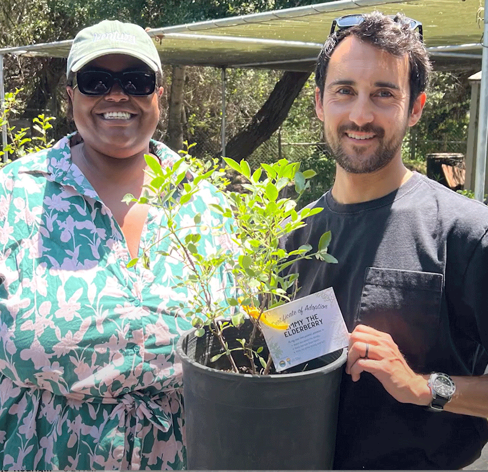 Help Mother Nature Out by Adopting a Drought-resistant Tree | Outdoors ...