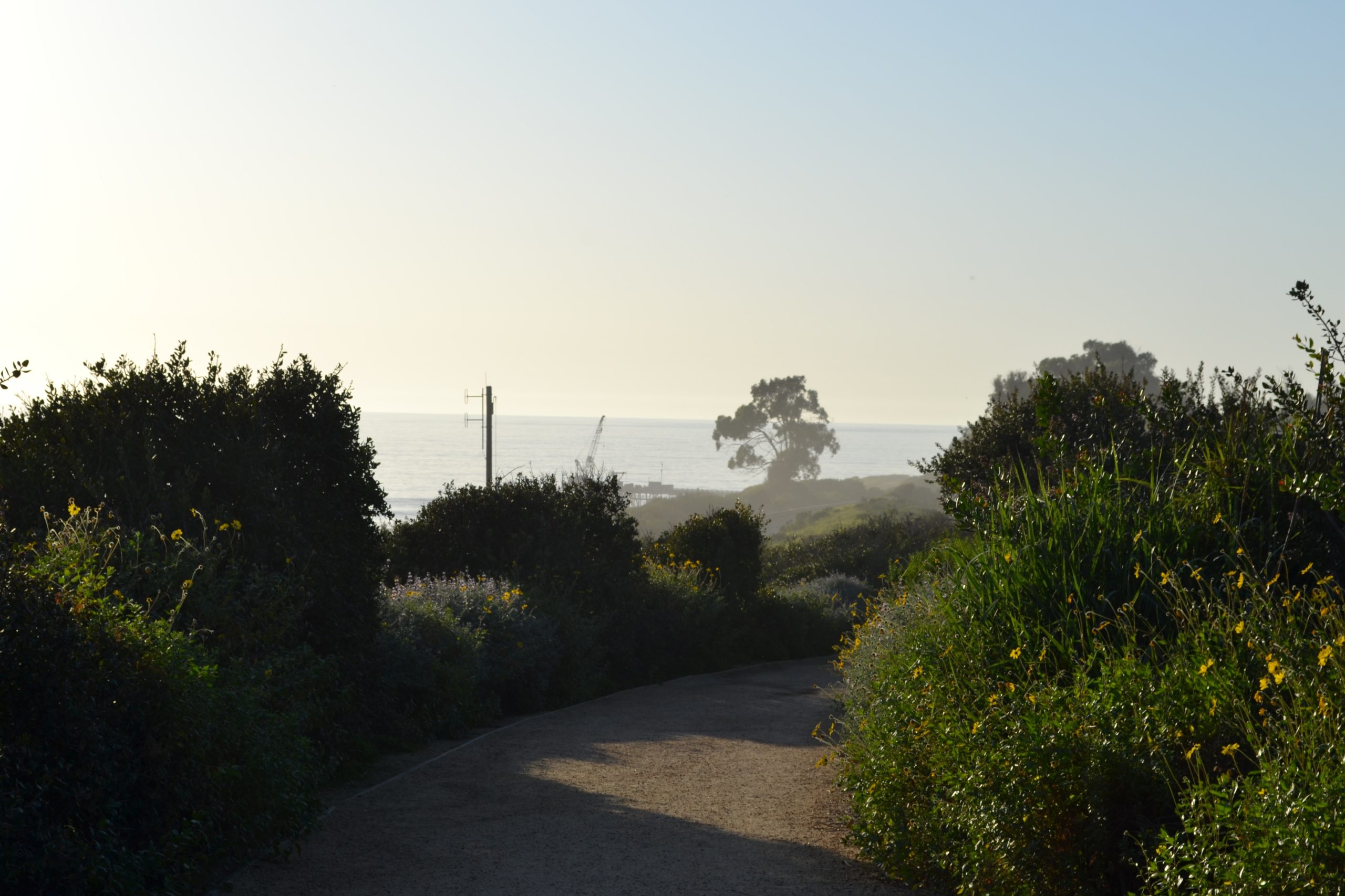 County Approves $800,000 for Carpinteria Bluffs Improvements | Local ...